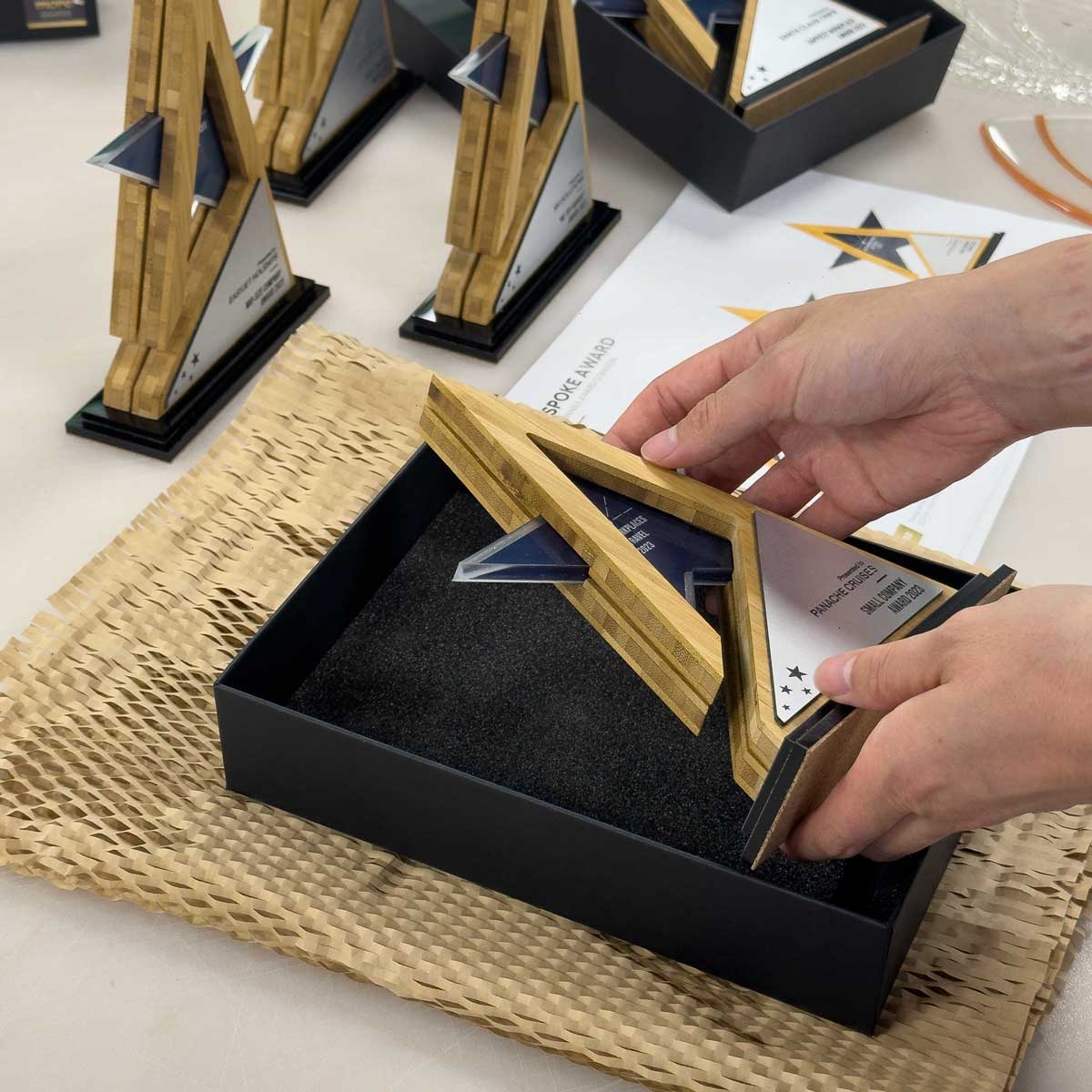 More Awards | Sustainable & Bespoke Awards, Trophies & Medals